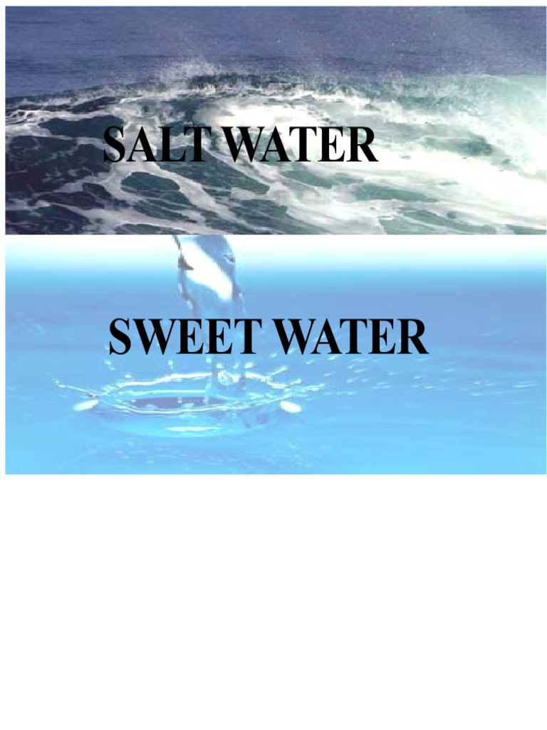 Freshwater Saltwater | PDF