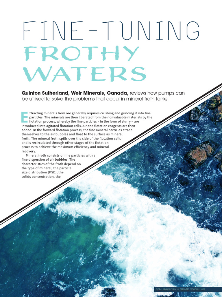 Fine Tuning Frothy Waters Gmr 2023 | PDF | Pump | Chemical Engineering