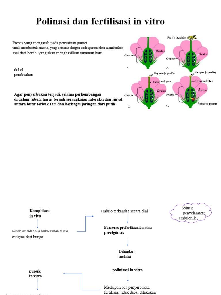 Polinasi dan Fertilisasi In Vitro Tanaman | PDF