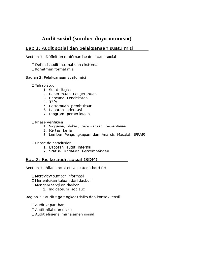 Audit Sosial SDM: Metodologi dan Risiko | PDF