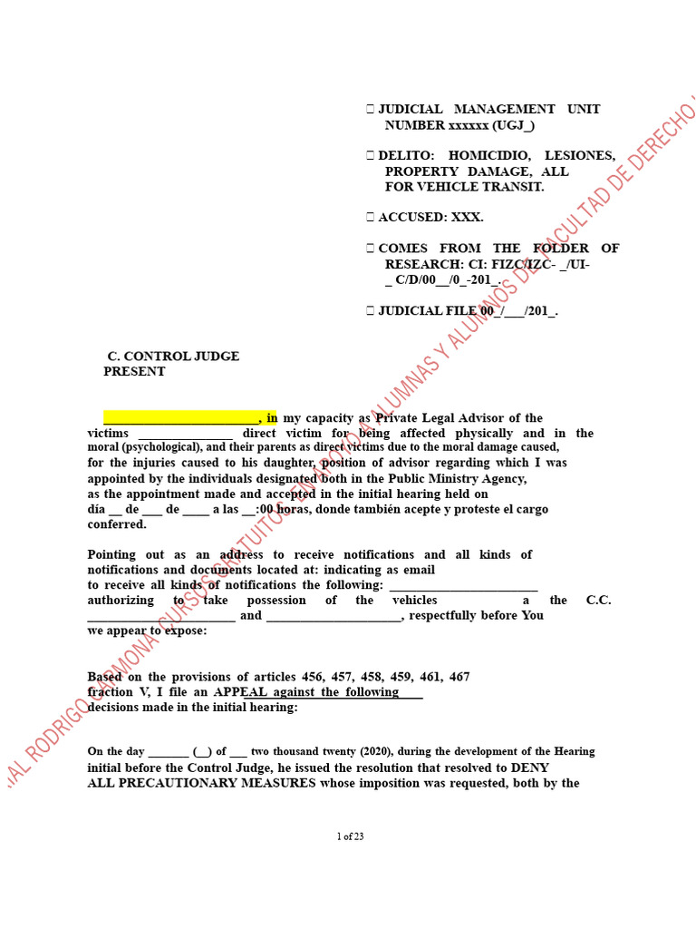 Appeal for Precautionary Measures in Homicide Case | PDF | Crimes ...