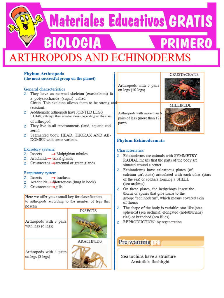 Arthropods and Echinoderms Overview | PDF | Spider | Skeleton