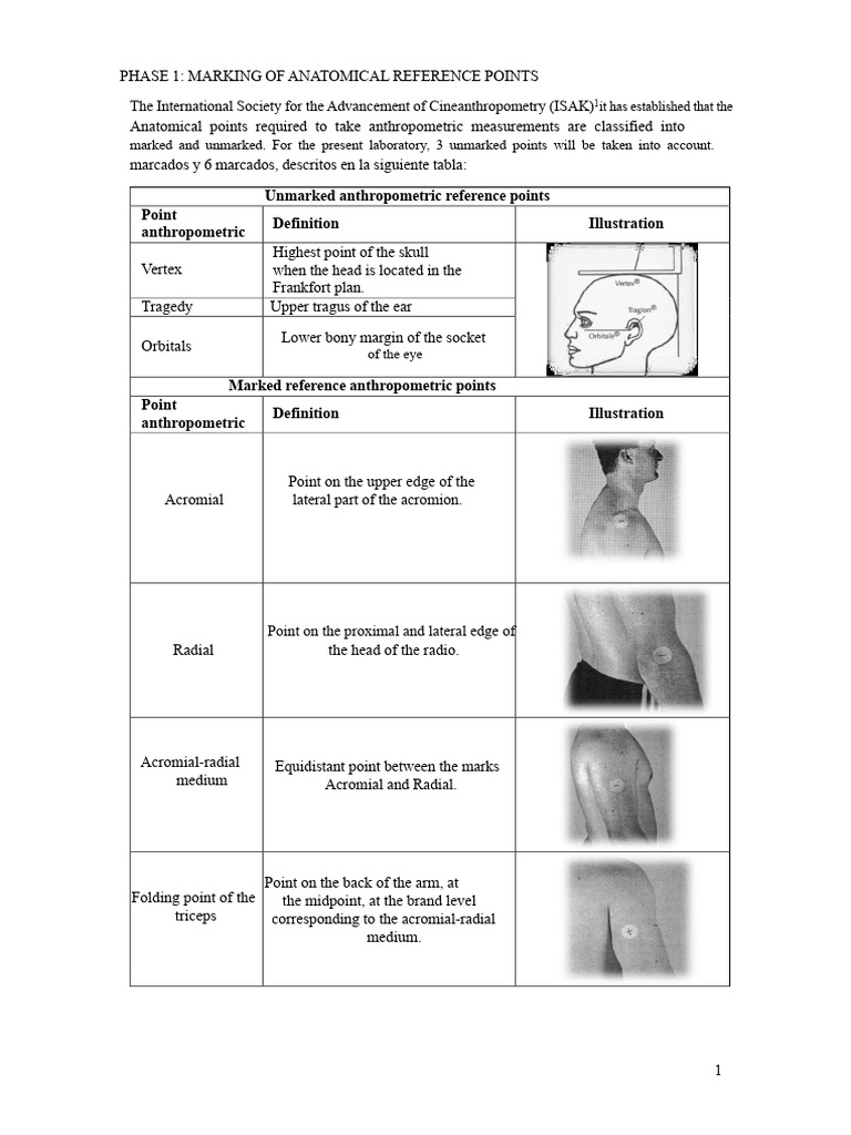 Anatomical Reference Points for Anthropometry | PDF | Arm | Anatomical ...