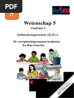 Practicum Sporeplanten en Zaadplanten 2024-2025 | PDF