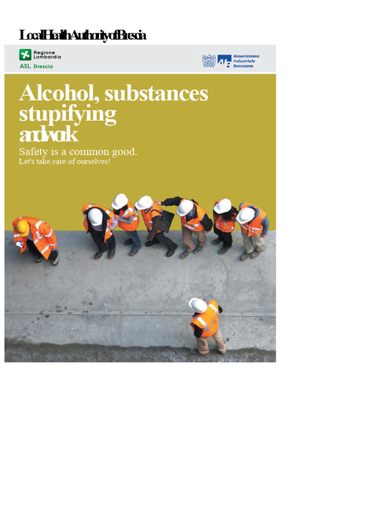 Assessment of Alcohol and Drug Risk | PDF | Alcoholism | Drugs
