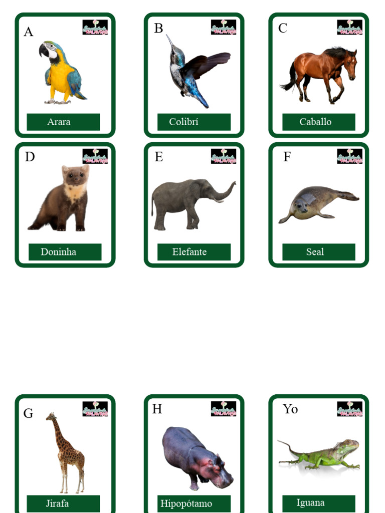 Alfabeto de Los Animales | PDF