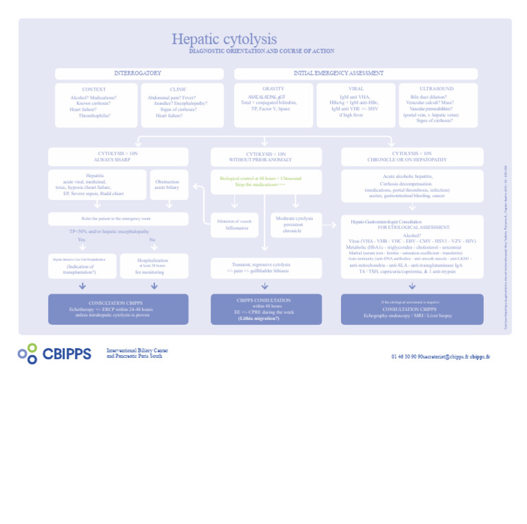 Hepatic Cytolysis: Diagnosis & Management | PDF | Cirrhosis | Liver