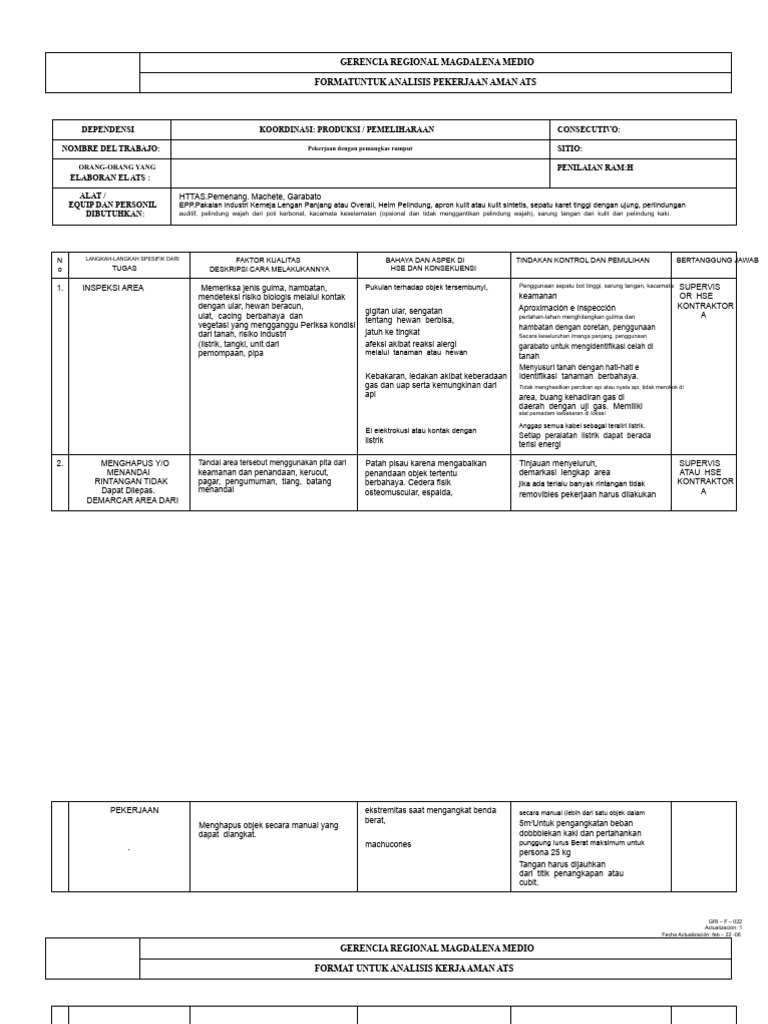 FORMAT ATS ECOPETROL | PDF