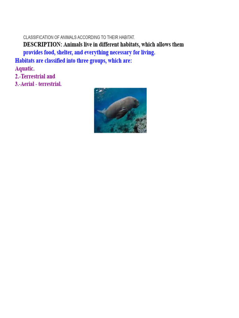 Classification of Animals According To Their Habitat | PDF | Amphibian ...