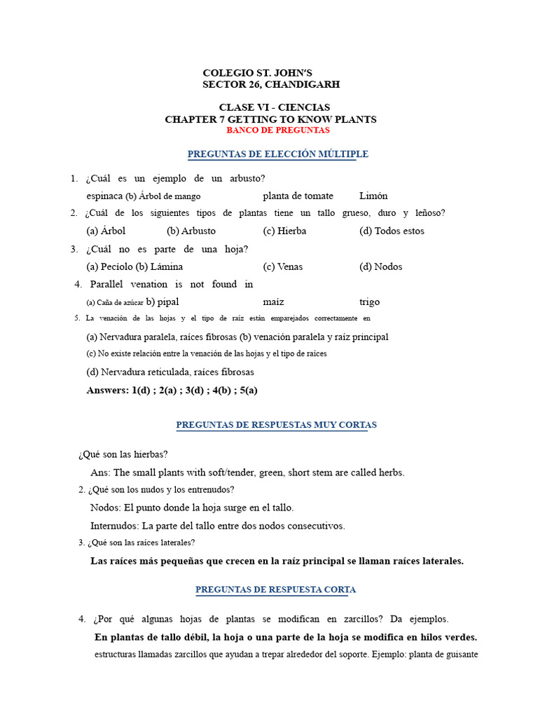 Banco de preguntas de Ciencias de 6º Grado Conociendo las Plantas | PDF ...