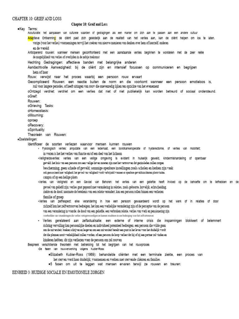 Hoofdstuk 10 Verdriet en Verlies | PDF