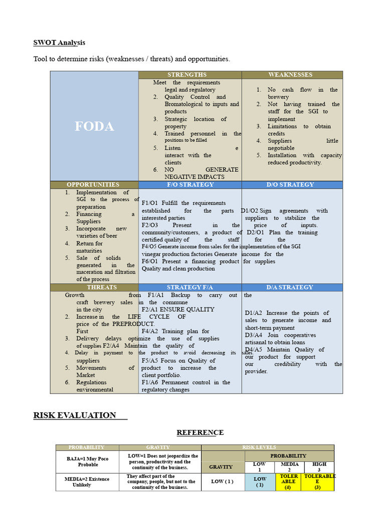 SWOT Matrix and Risk-Opportunities | PDF | Swot Analysis