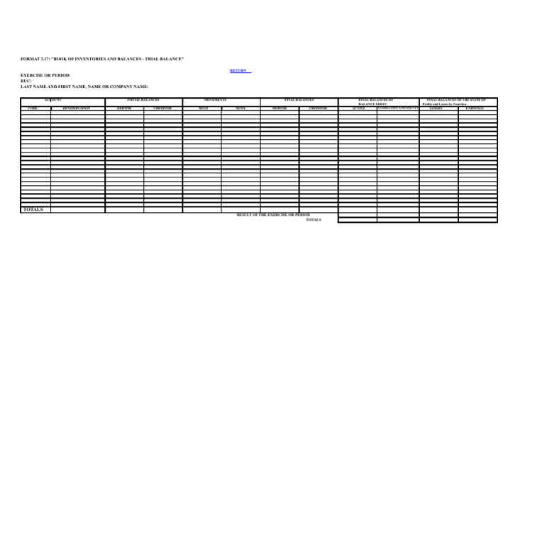 Trial Balance Inventory Format Guide | PDF