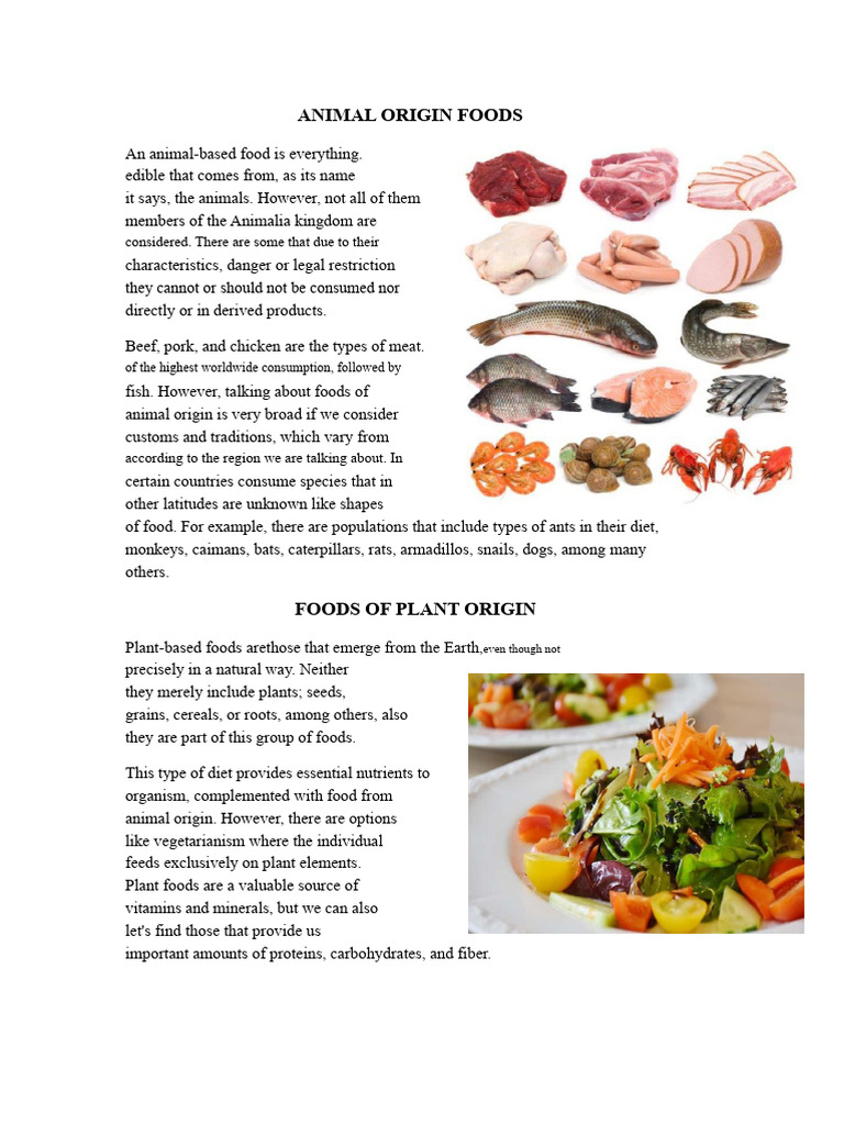 Animal Products | PDF | Foods | Nutrition