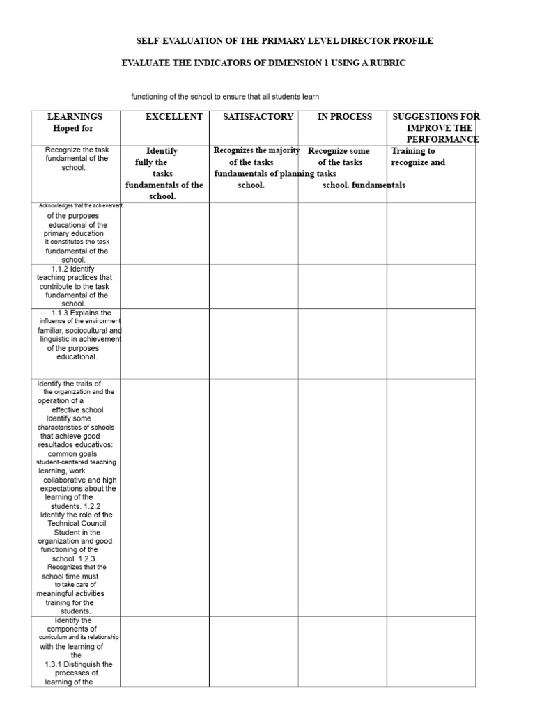Primary Level Director Self-Evaluation Guide | PDF | Learning | Social ...