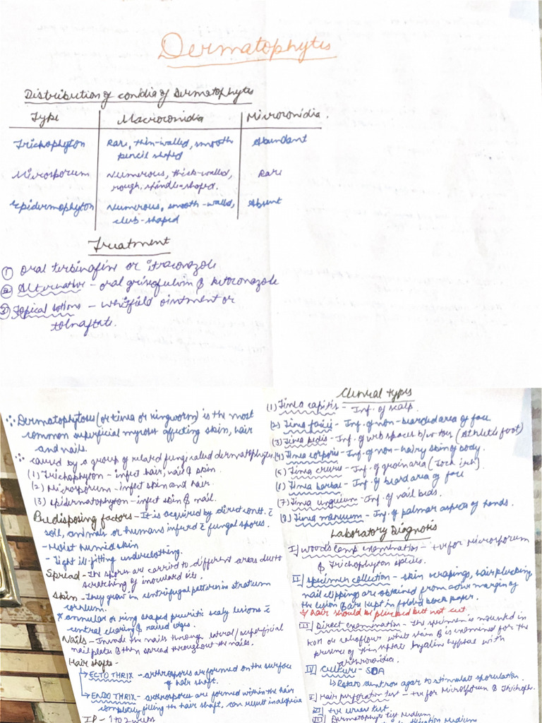 Skin 2 Microbio Short Handwritten Notes | PDF