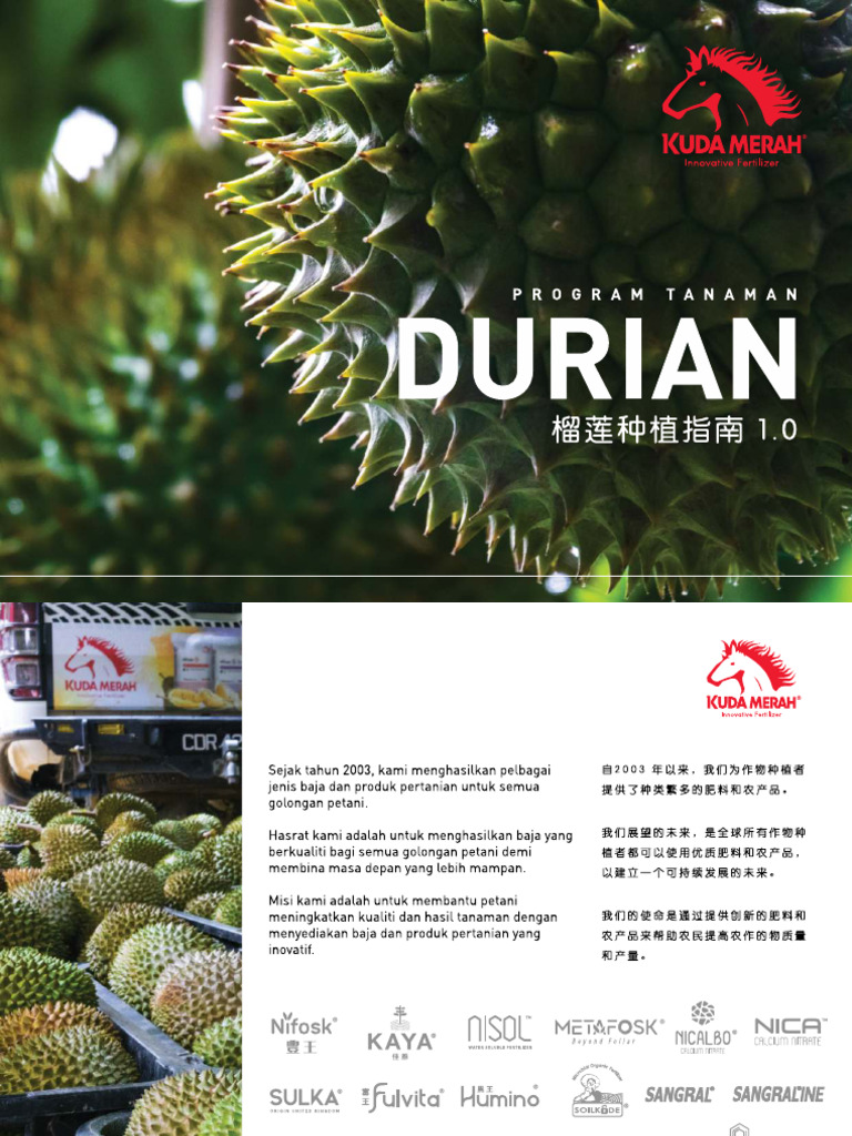 Durian Book Duo Language 2024 | PDF