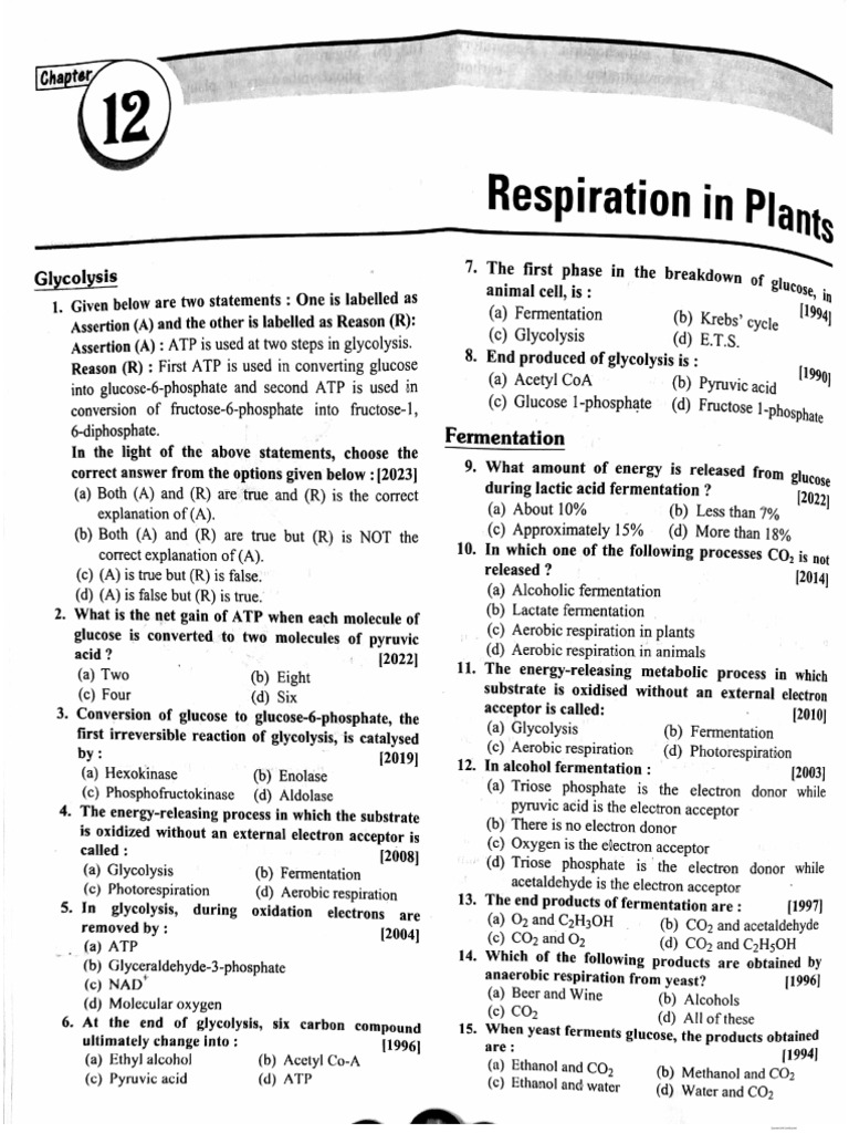 Respiration in Plants 11-26-2025 11.49.16 | PDF