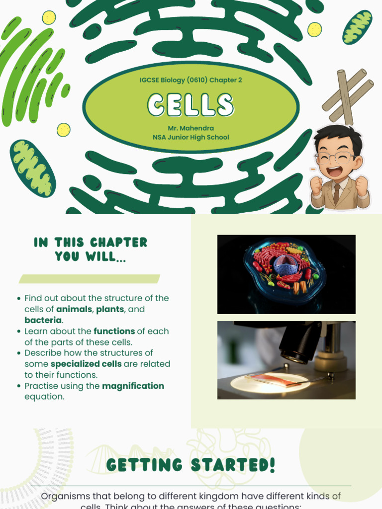 Understanding Cell Structures and Functions | PDF | Endoplasmic ...