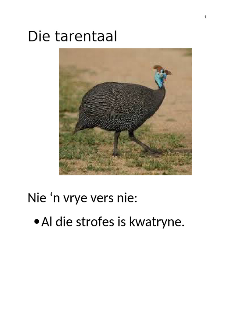 Tarentaal Antw | PDF