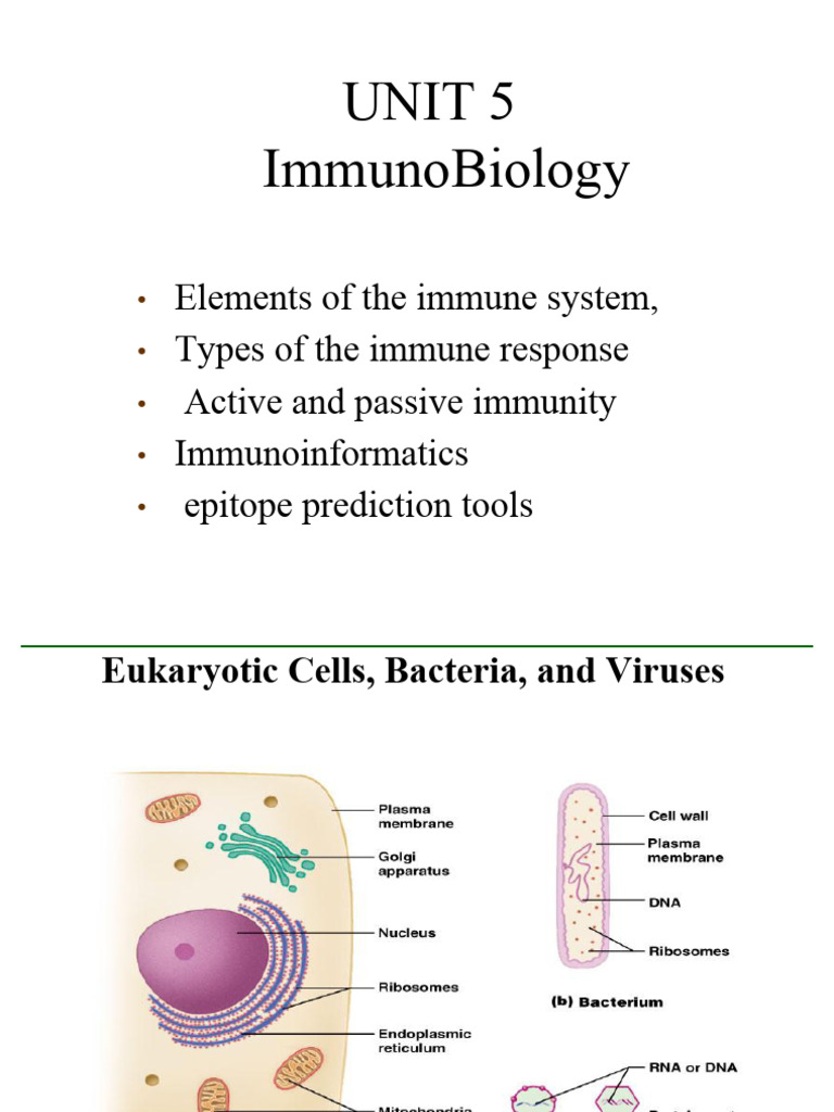 Unit 5 | PDF | Immune System | White Blood Cell