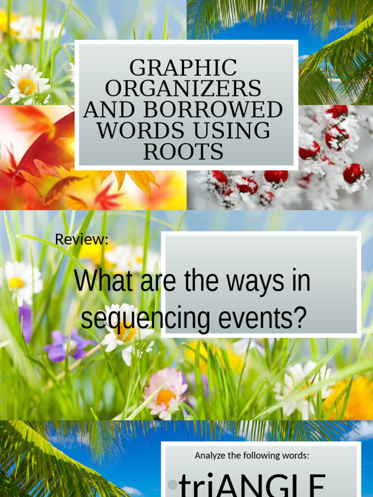 Graphic Organizers and Word Roots Guide | PDF | Verb | Linguistics