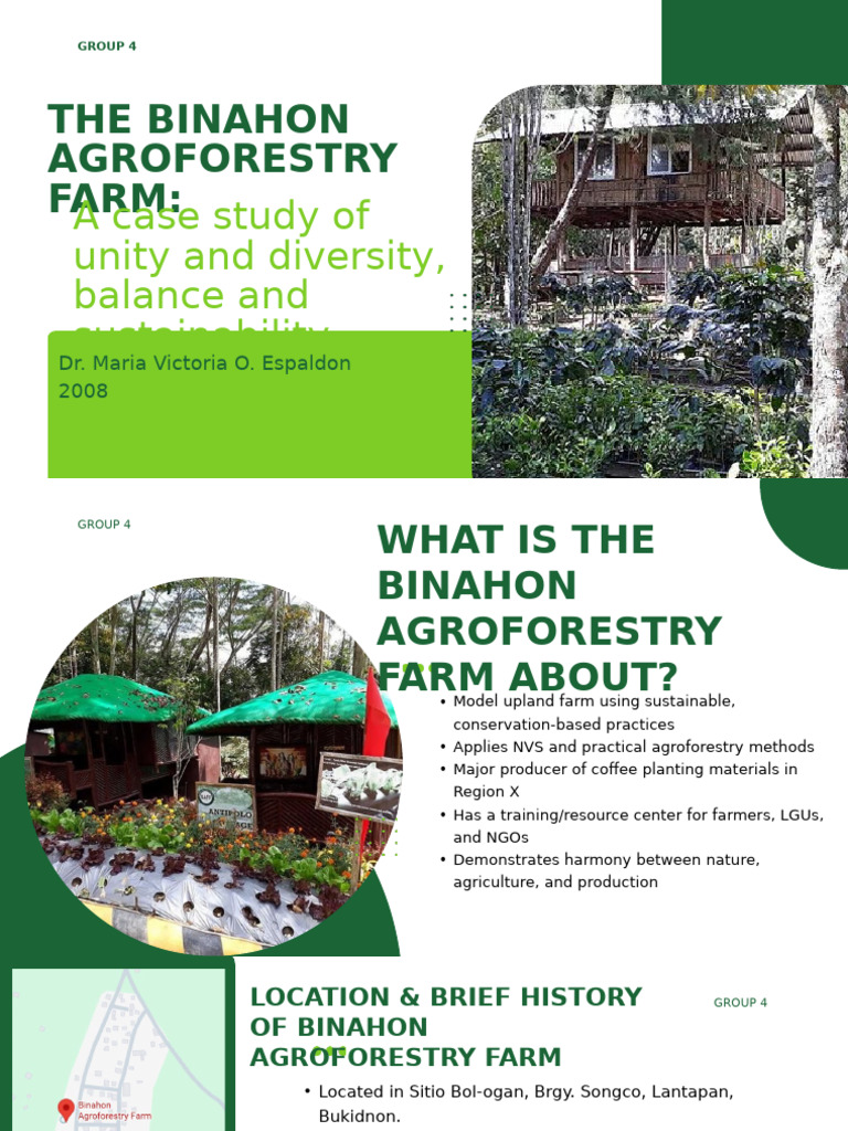 Binahon Agroforestry Farm Case Study | PDF | Pig | Agriculture