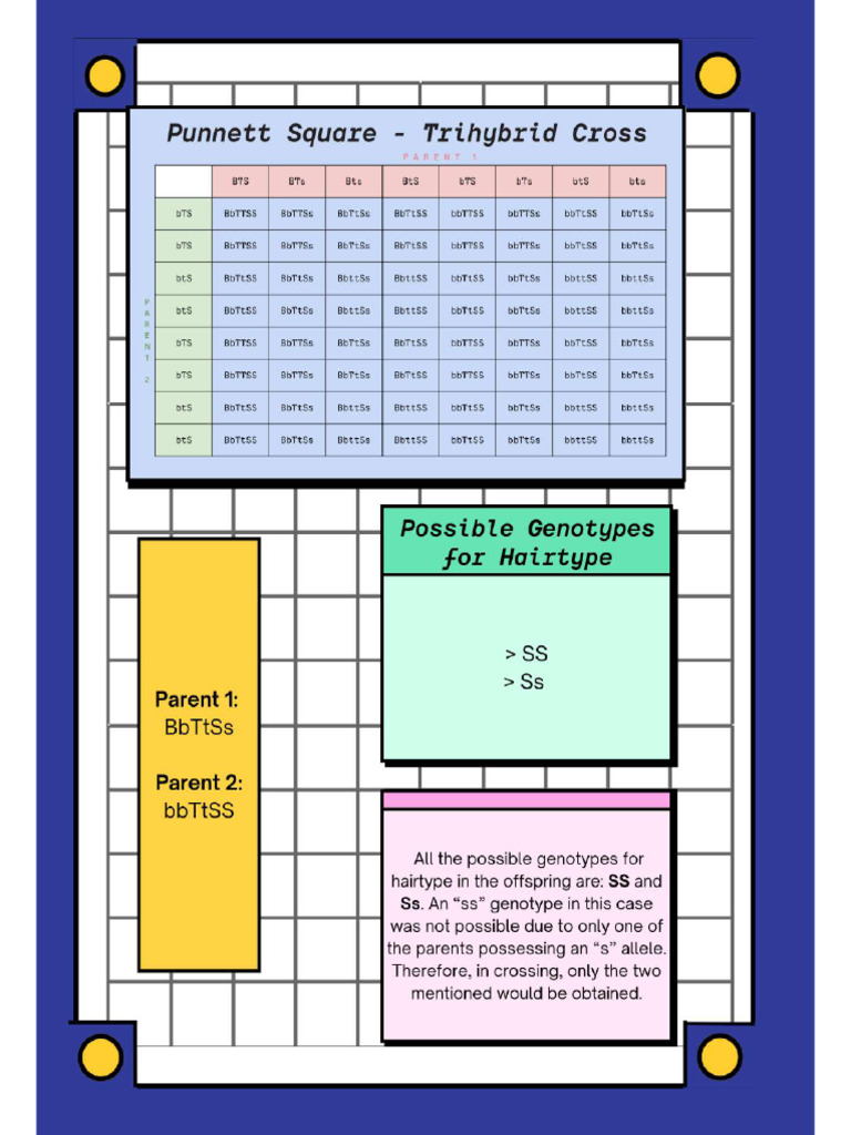 C Trihybrid Cross 64-1-1 | PDF