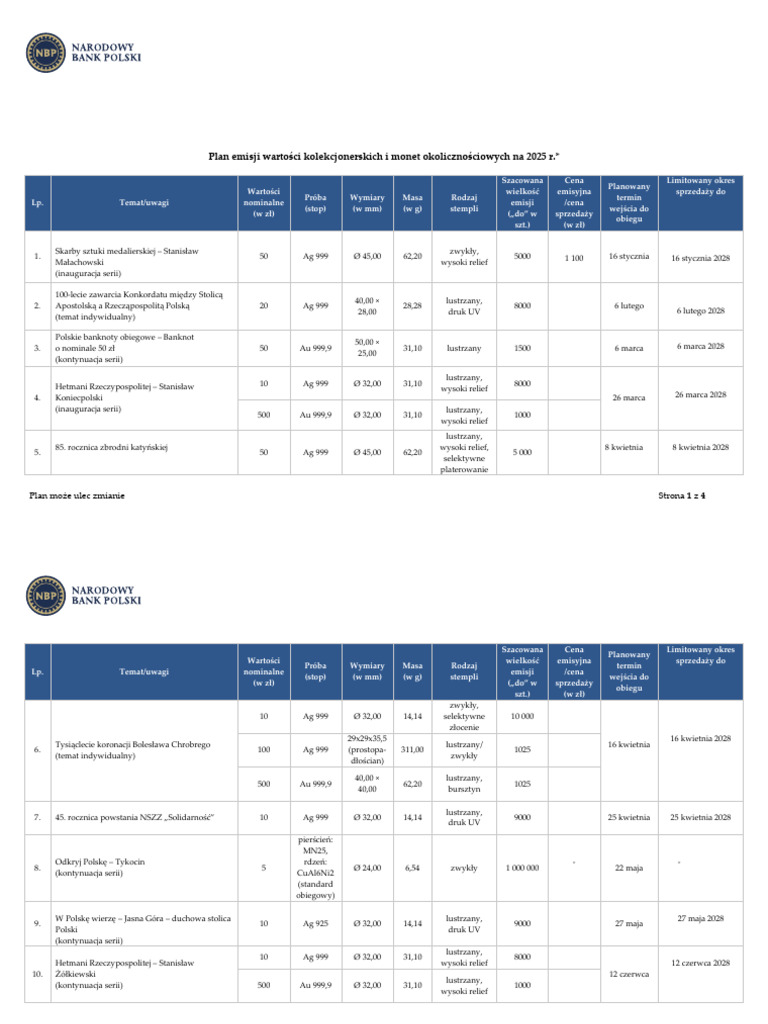 Plan 2025 PL | PDF