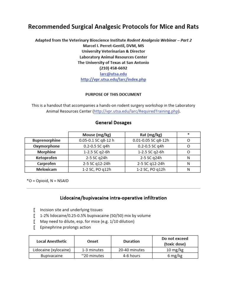Recommended Surgical Analgesic Protocols For Mice and Rats | PDF ...