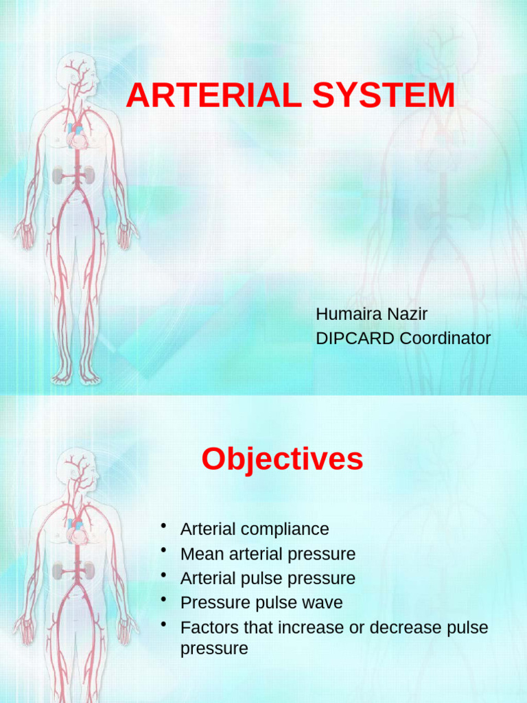 4-Arterial System | PDF | Blood Pressure | Pulse