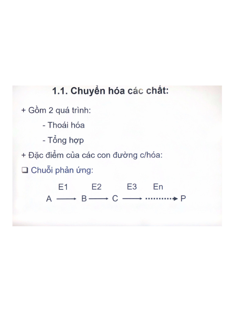 1.1. Chuyên Hóa Các Chât | PDF