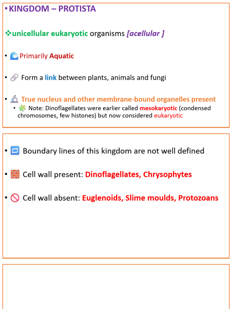 Protista | PDF | Protozoa | Eukaryotes