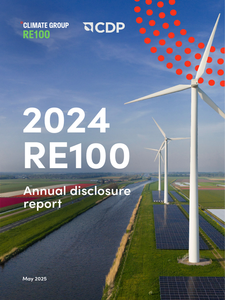 2024 RE100 Annual Disclosure Report | PDF | Renewable Energy | Electric ...