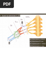 Test Point MCQs Resource Guide | PDF