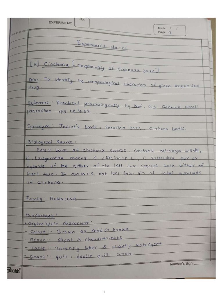 Cognosy Exp 1-3 | PDF