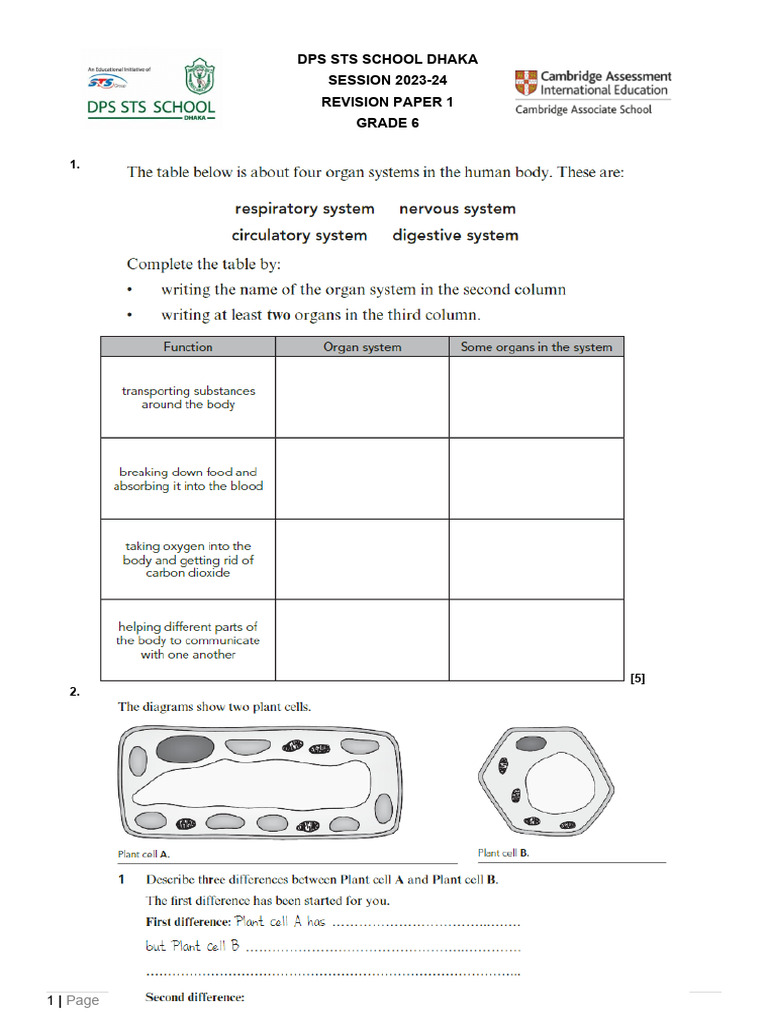 Dps Sts School Dhaka SESSION 2023-24 Revision Paper 1 Grade 6 | PDF