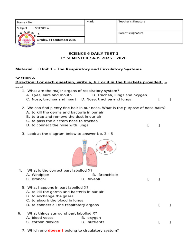 Science 6 Daily Test: Respiration & Circulation | PDF | Respiratory ...