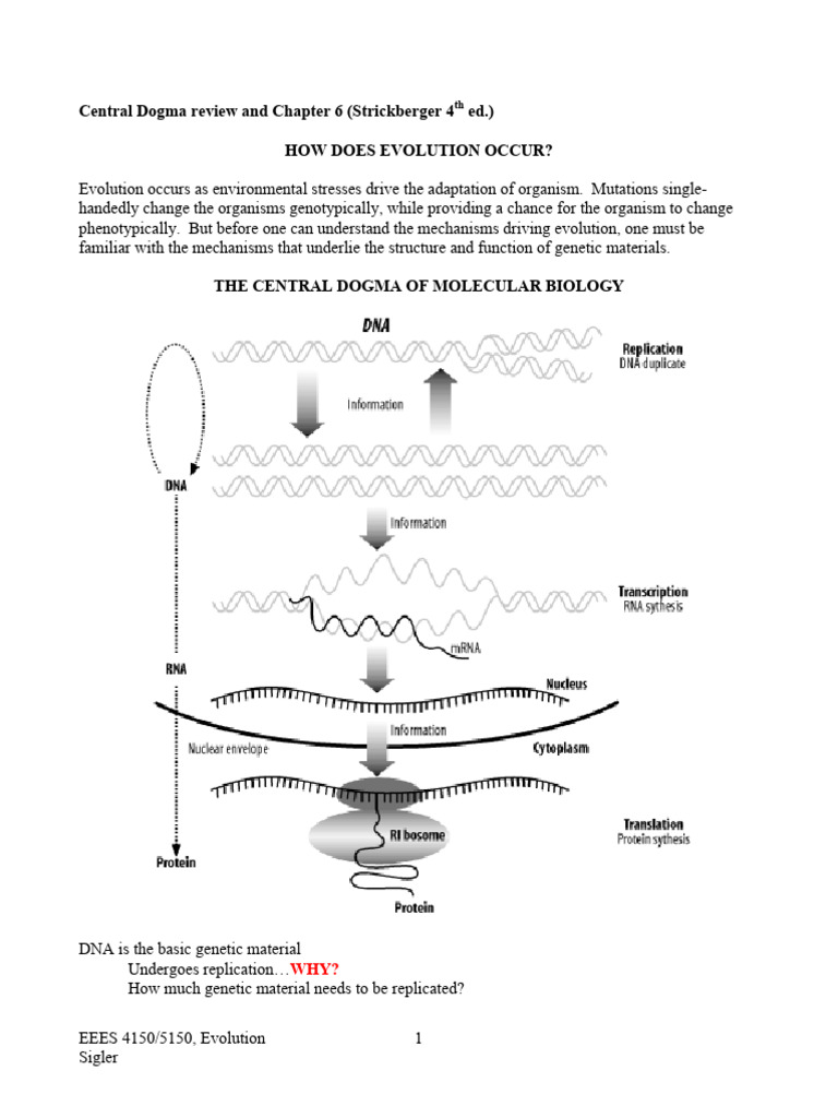 Central Dogma and Evolution Mechanisms | PDF | Dna | Cell Membrane