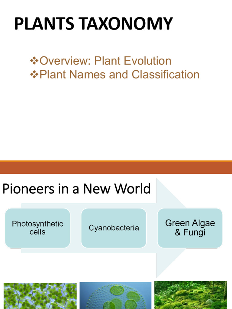 Lec 6 Plant Taxonomy | PDF | Plants | Plant Stem