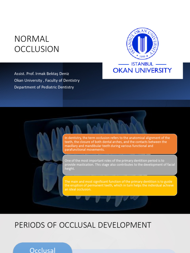 Understanding Normal Occlusion Stages | PDF | Dental Anatomy | Dentistry