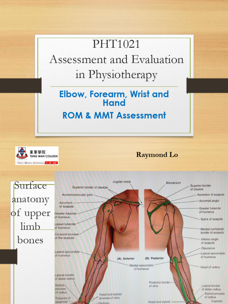 PHT1021 Elbow, Wrist and Hand | PDF | Anatomical Terms Of Motion | Elbow
