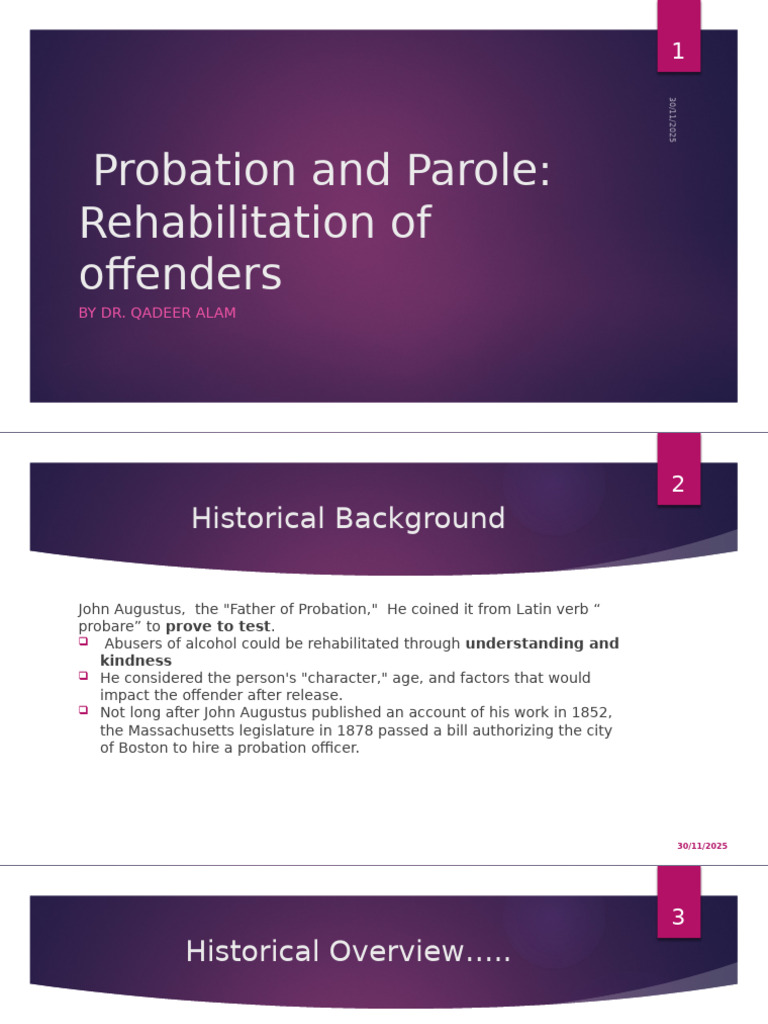 Understanding Probation and Parole Systems | PDF | Probation | Crimes