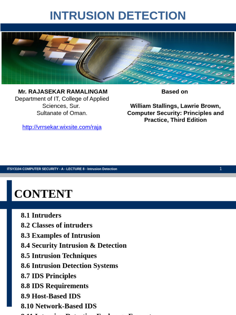 Ids | PDF | Security | Computer Security