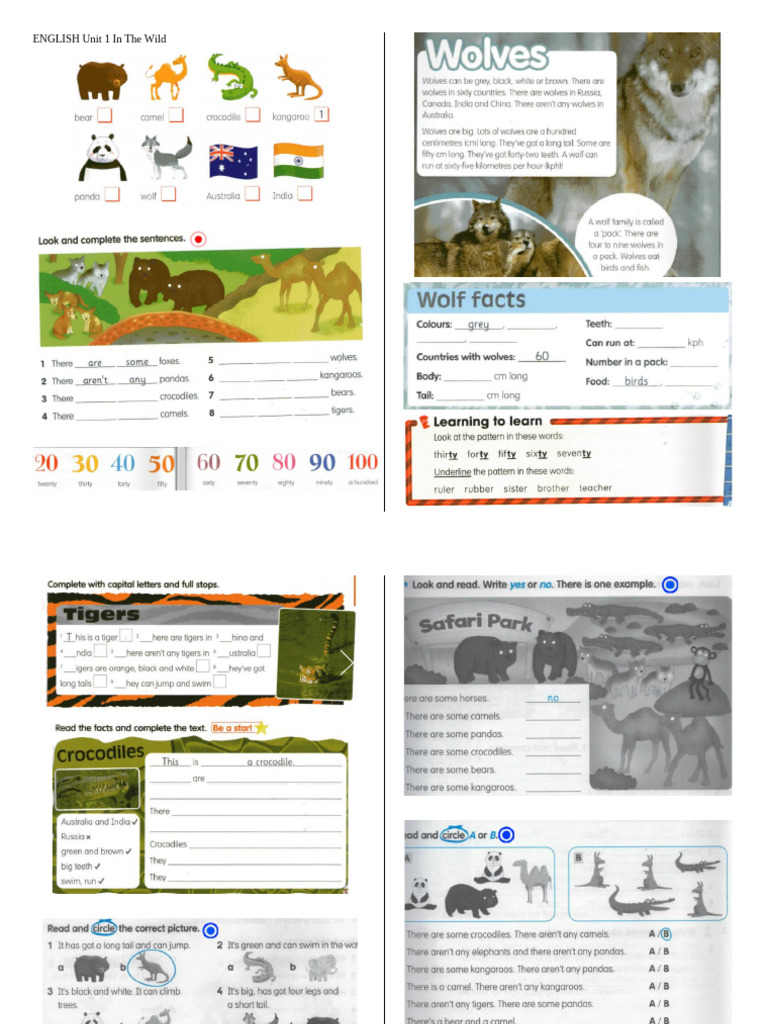 English Unit 1 and 2 | PDF