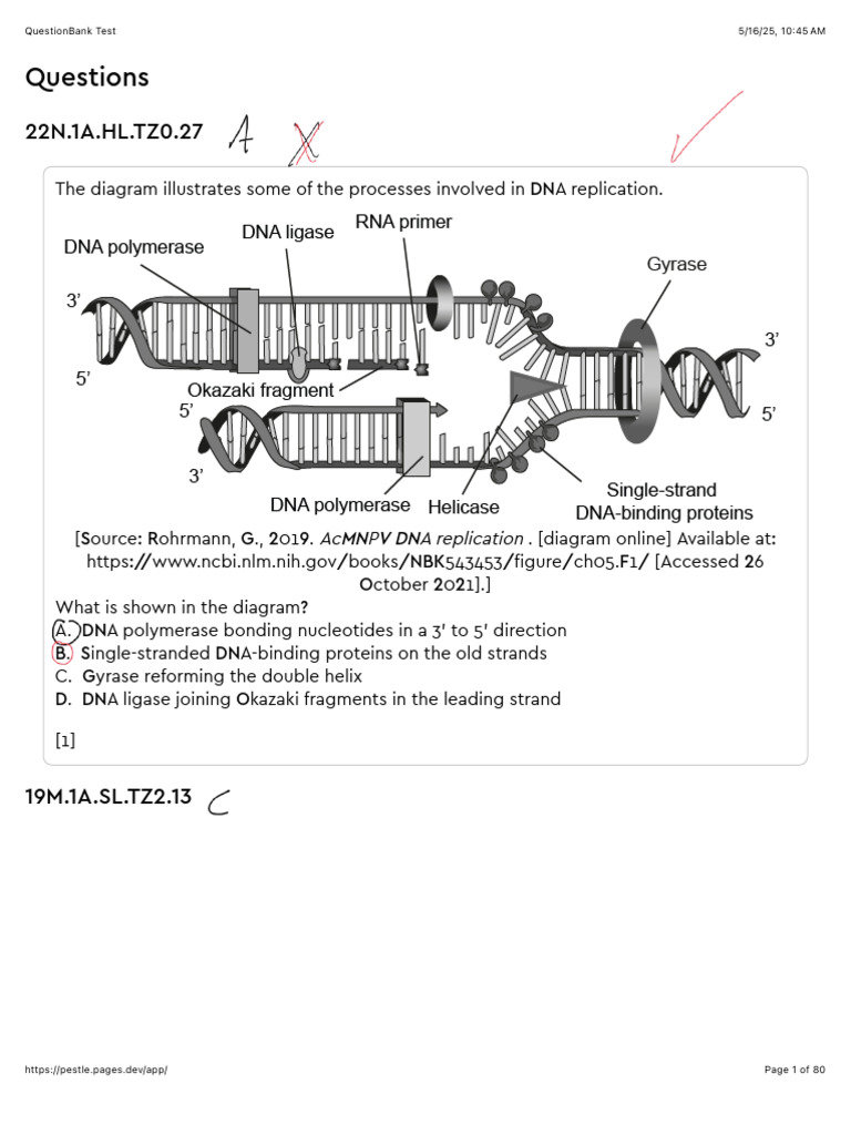 Biology Question Bank Overview | PDF | Dna | Gene