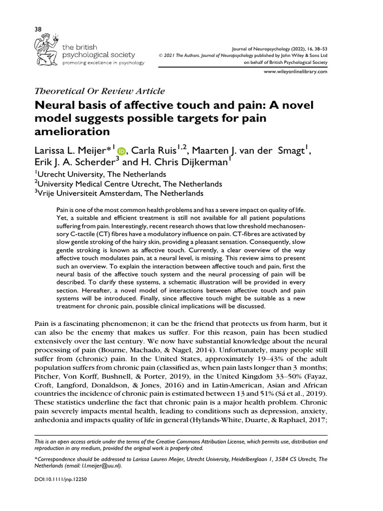 Neural Basis of Affective Touch and Pain - A Novel Model Suggests ...