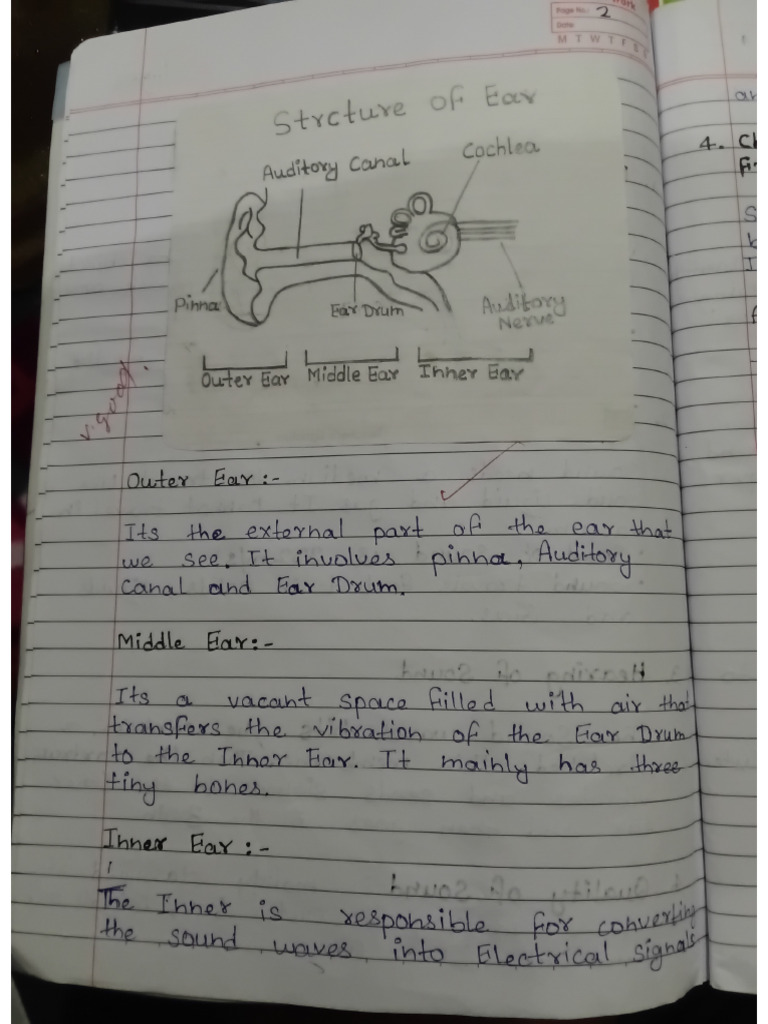 Class 8th Science Chapter 10 Sound Notes 2 | PDF