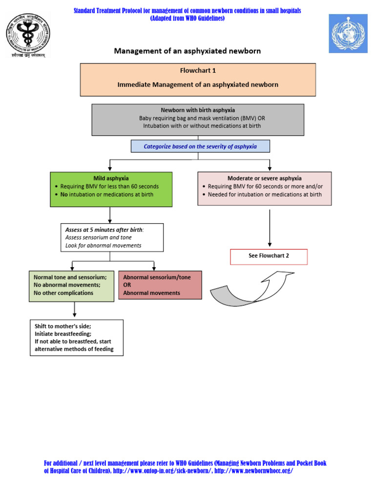 Asphyxia Management | PDF | Clinical Medicine | Medical Specialties