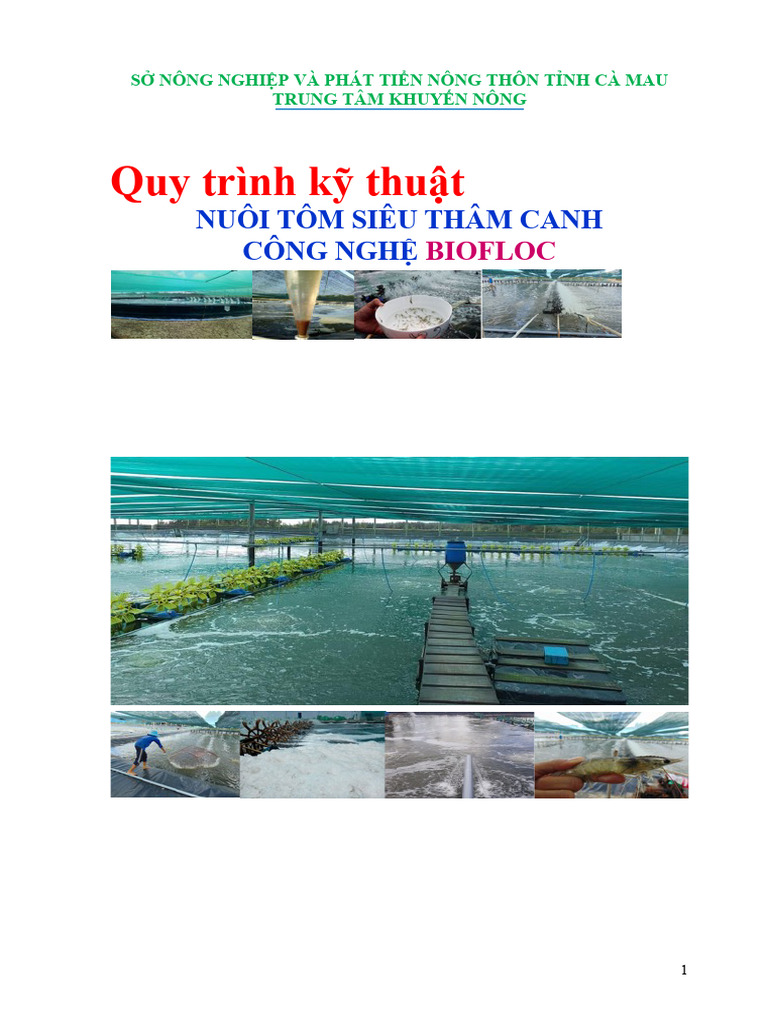 Tài Liệu Quy Trình Kỹ Thuật Nuôi Tôm Siêu Thâm Canh Công Nghệ Biofloc | PDF